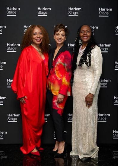 A Starry Night for the Harlem Stage Inaugural Gala Celebration of Dr ...